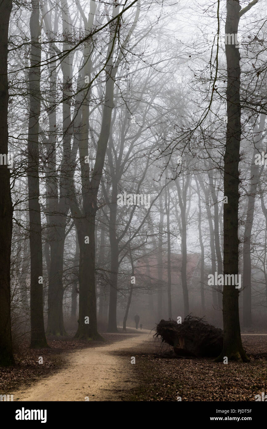 Vascular pathway hi-res stock photography and images - Alamy