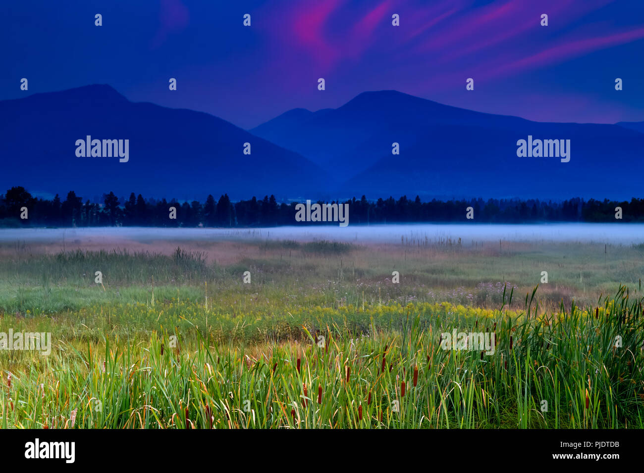 Bitterroot mountains hi-res stock photography and images - Alamy