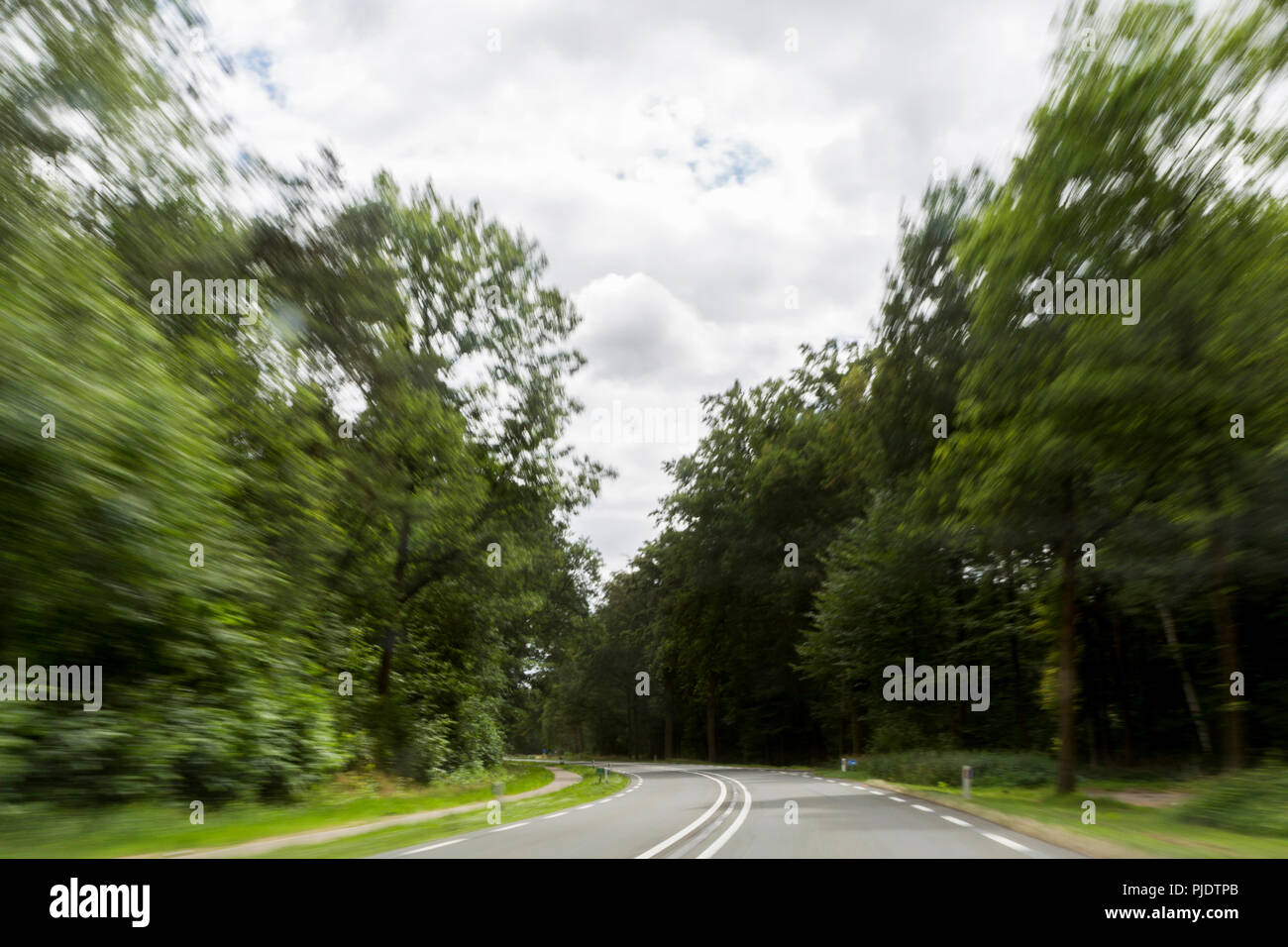 Drive canopy hi-res stock photography and images - Alamy