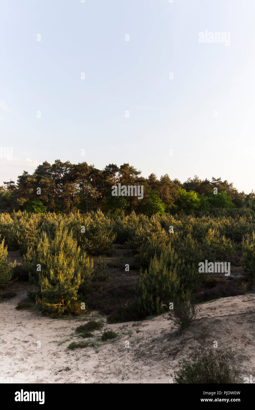 Low laying landscape hi-res stock photography and images - Alamy