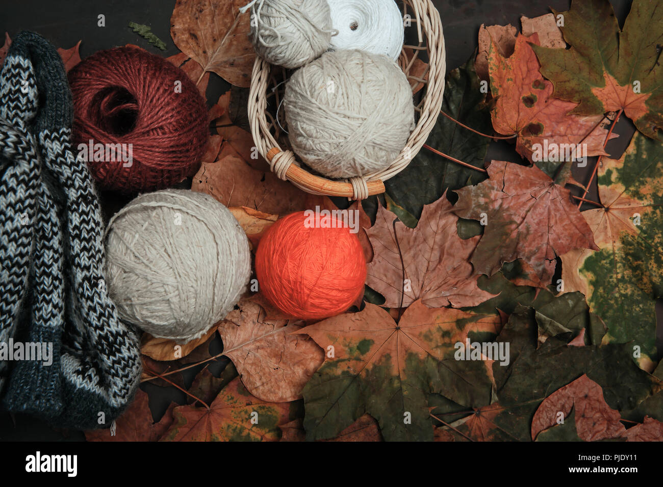 Knitting threads in a park on leaves Stock Photo - Alamy