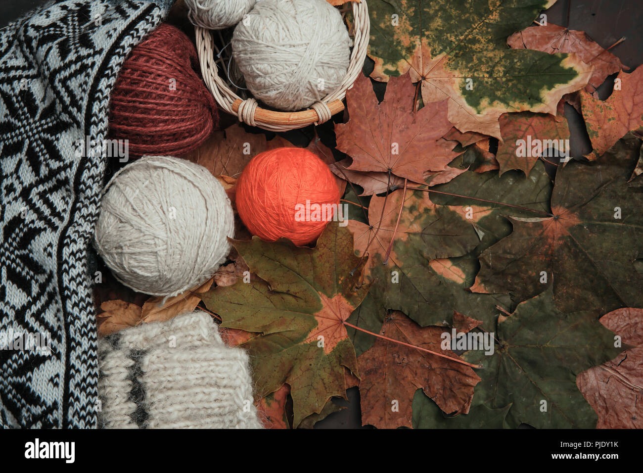 Knitting threads in a park on leaves Stock Photo - Alamy