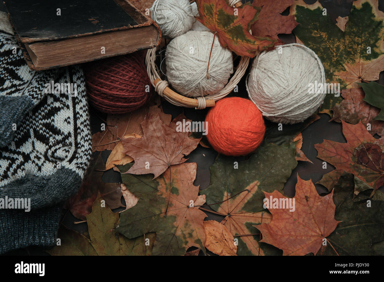 Knitting threads in a park on leaves Stock Photo - Alamy