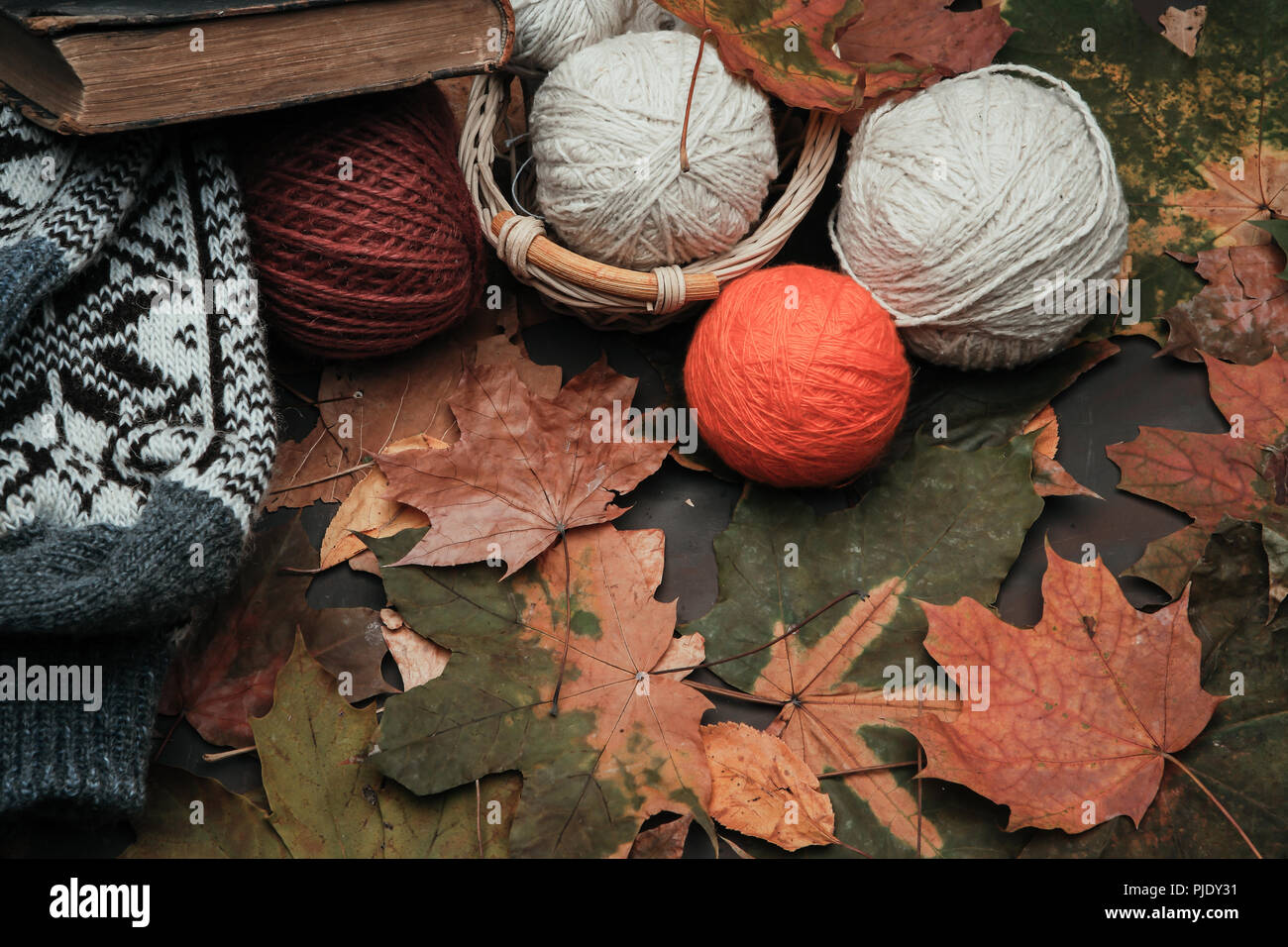Knitting threads in a park on leaves Stock Photo - Alamy