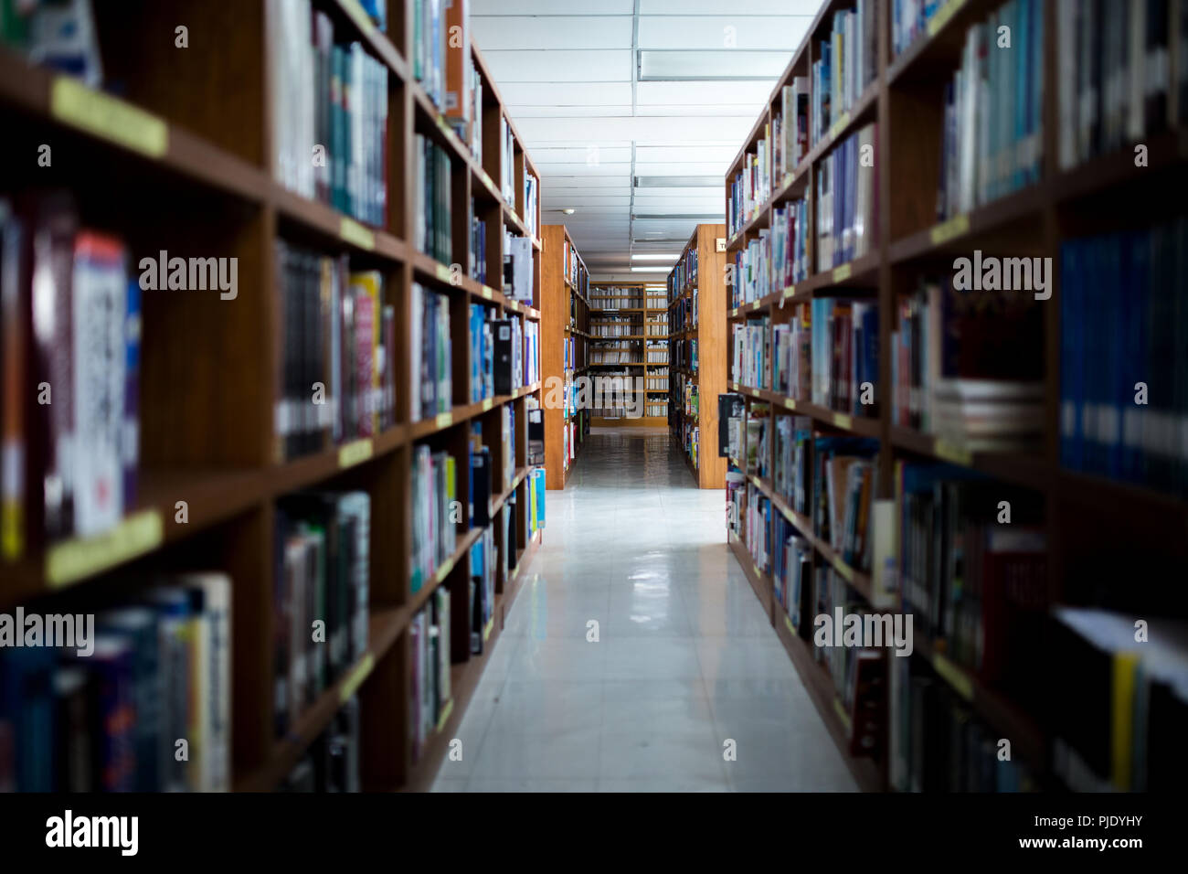 Books on Bookshelves in public libery, Bookshelfs backgroung Stock ...
