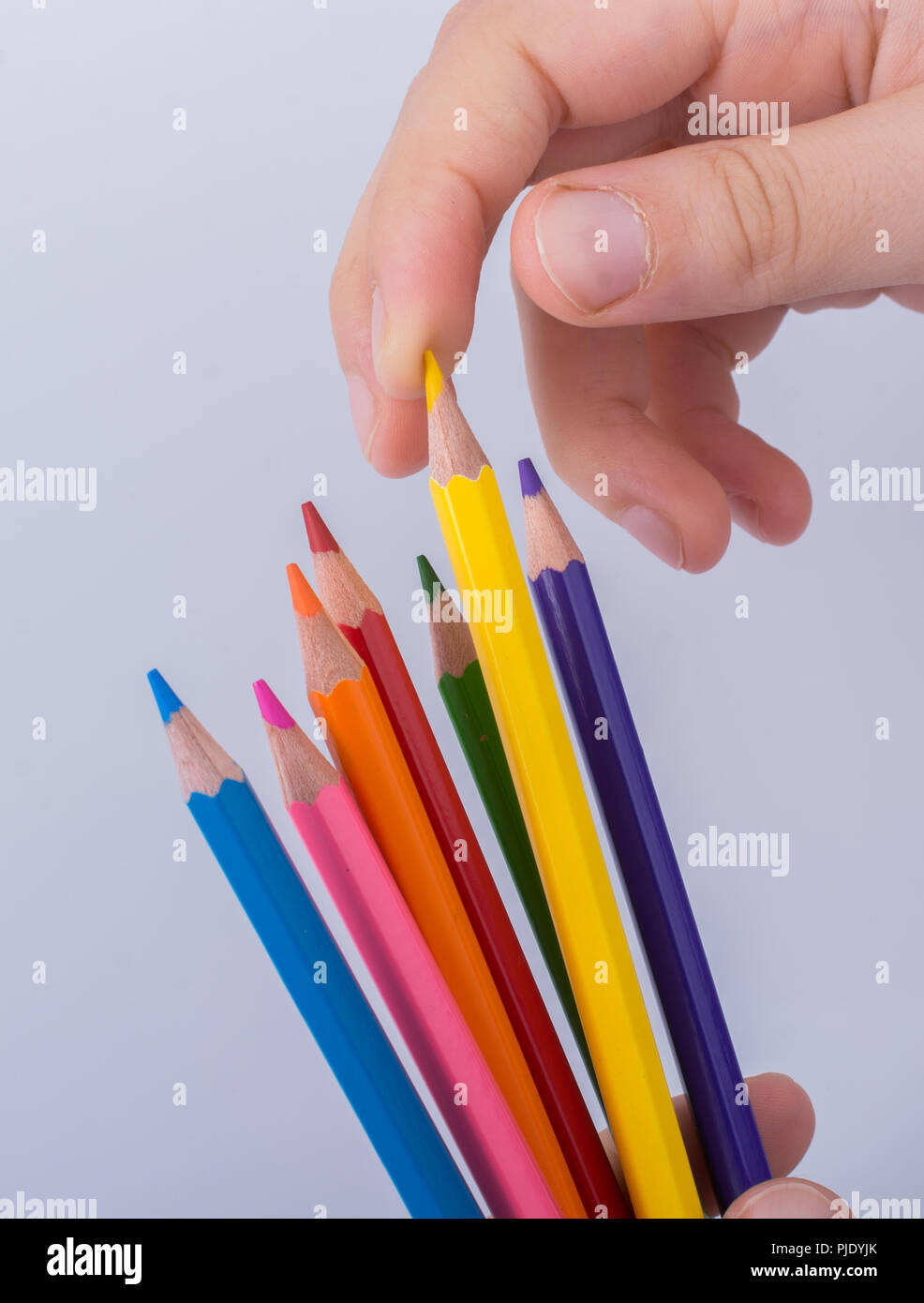 Hand holding color Pencils placed on a white background Stock Photo - Alamy