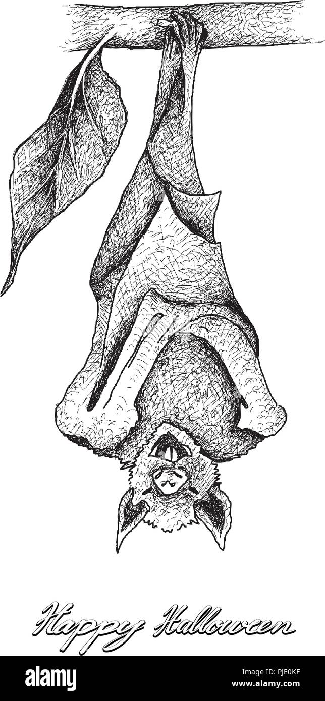 Holidays And Celebrations, Illustration Hand Drawn Sketch of Evil Bat ...