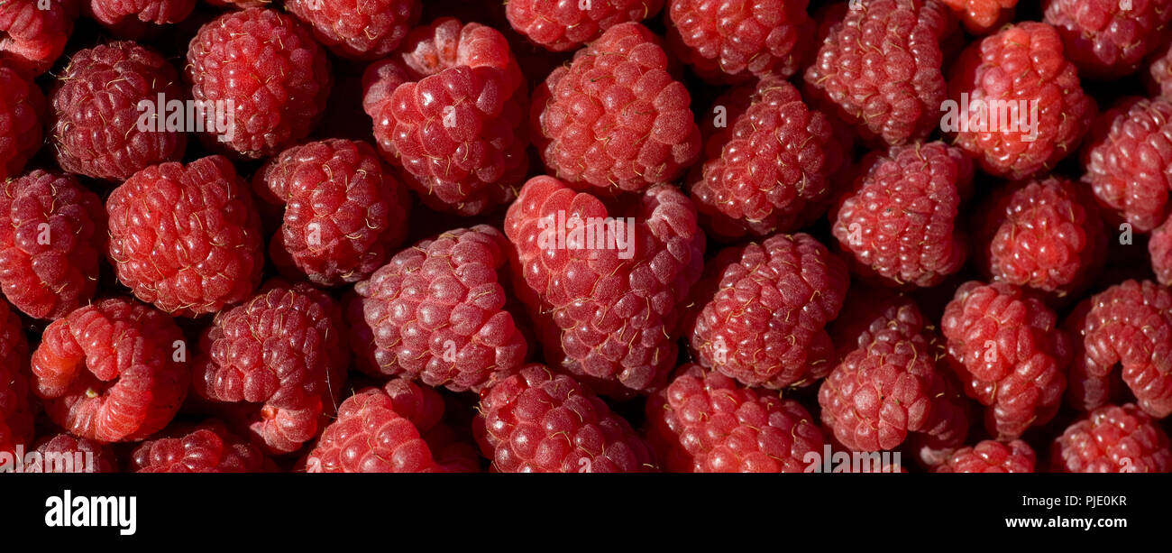 Fresh ripe perfect raspberry - Food Frame Background Stock Photo - Alamy