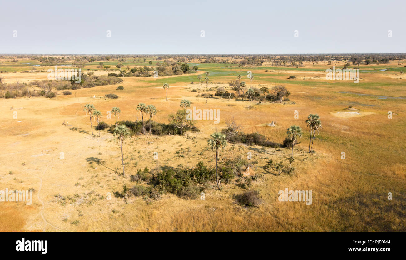 Okavango Delta aerial view, Botswana's stunning landscape Stock Photo ...