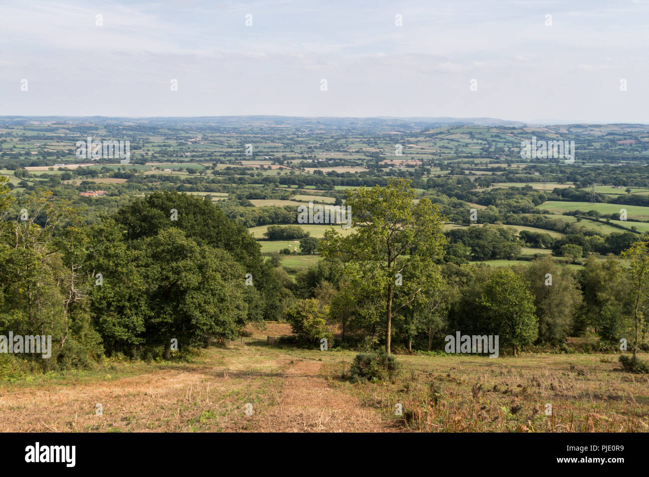 Lambert's castle dorset hi-res stock photography and images - Alamy
