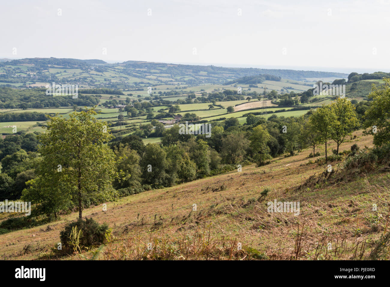 View across the Marshwood Vale, Dorset, as seen from Lambert's Castle ...