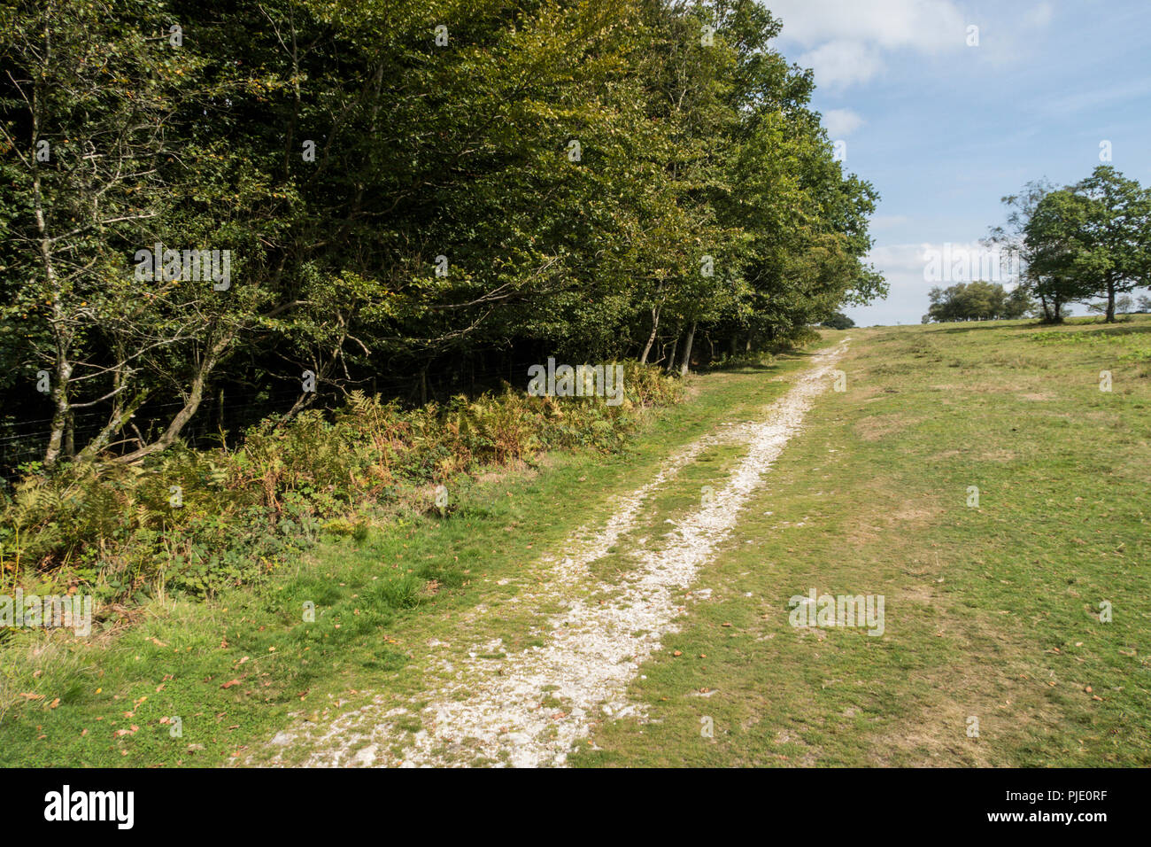 Path leading up to Lambert's Castle iron age hill fort, in the ...