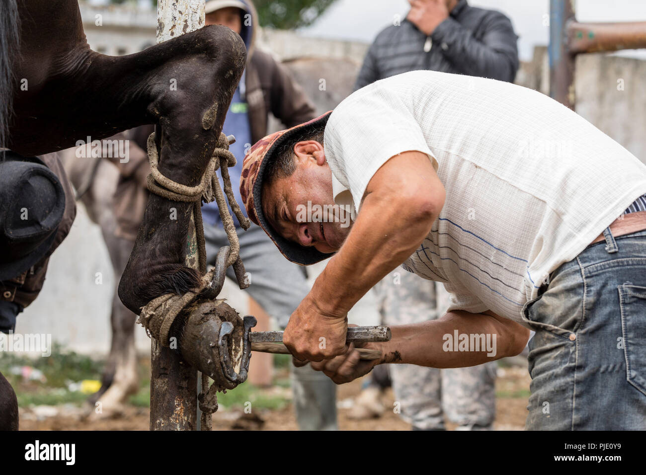 Black horse forge hi-res stock photography and images - Alamy