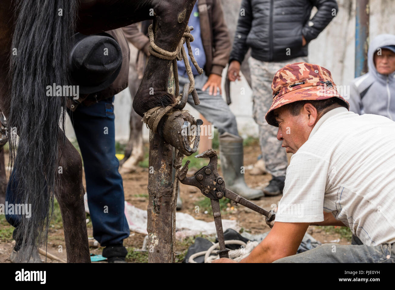 Farrier old man hi-res stock photography and images - Alamy