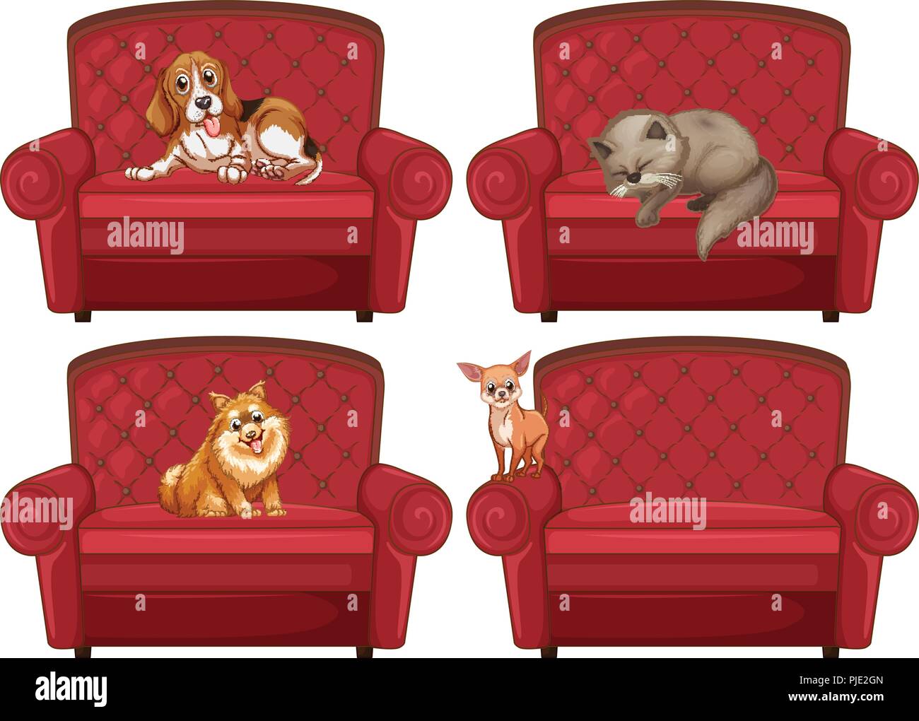 Pet at the couch illustration Stock Vector Image & Art - Alamy