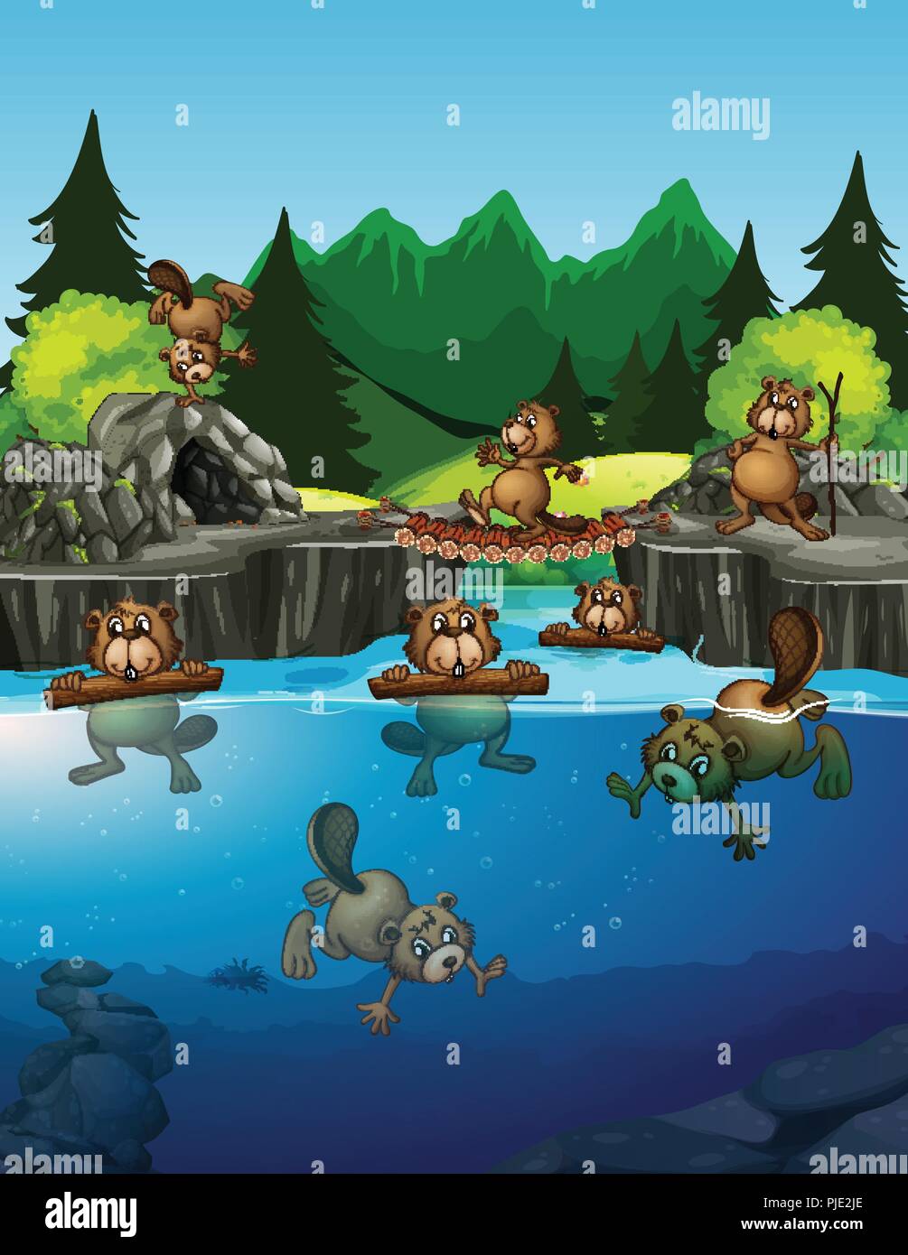 Beaver swimming in lake Stock Vector Images - Alamy