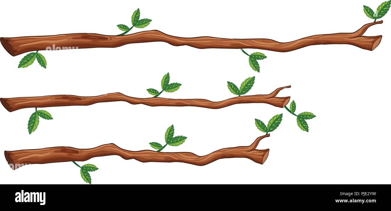A set of tree branch illustration Stock Vector Image & Art - Alamy