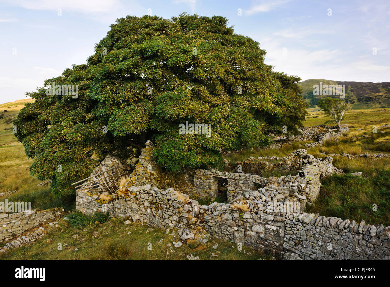 Snowdonia wales hi-res stock photography and images - Alamy