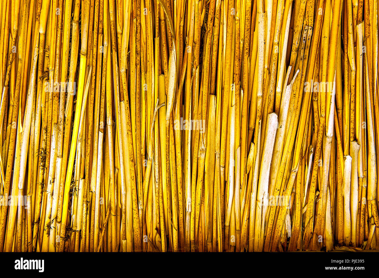 dry golden straw background Stock Photo - Alamy