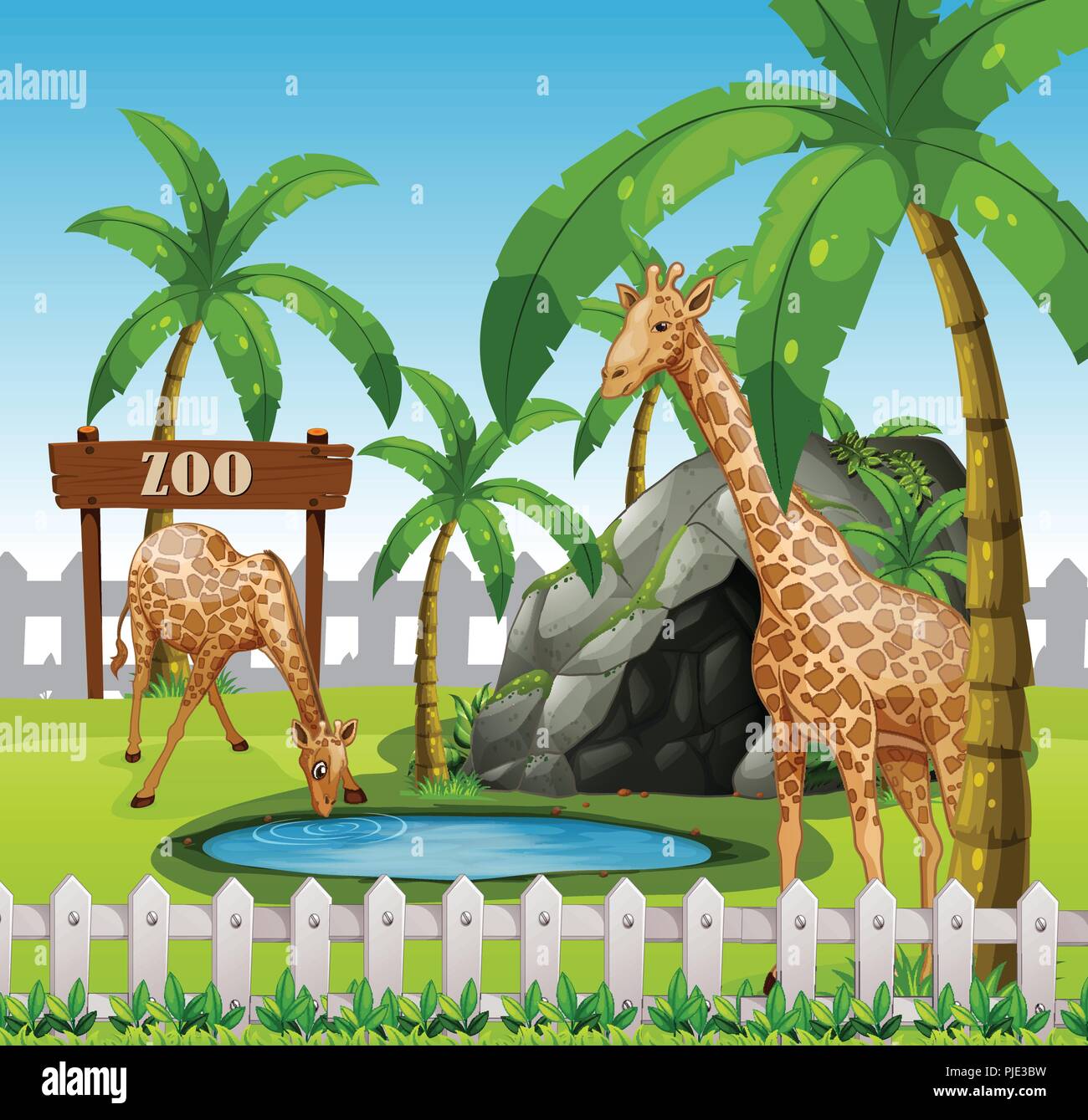 Giraffes in azoo enclosure illustration Stock Vector Image & Art - Alamy
