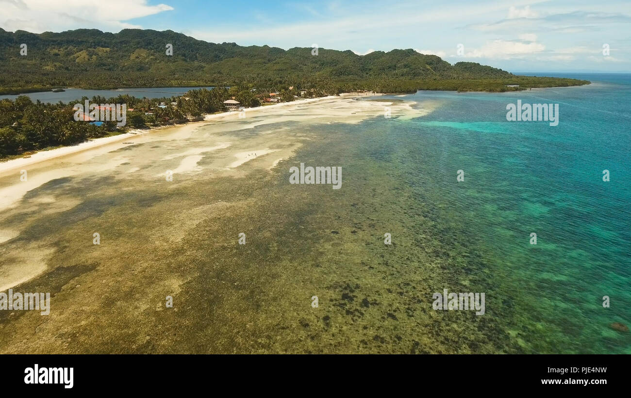 Aerial view of tropical beach on the island Bohol, Anda area ...