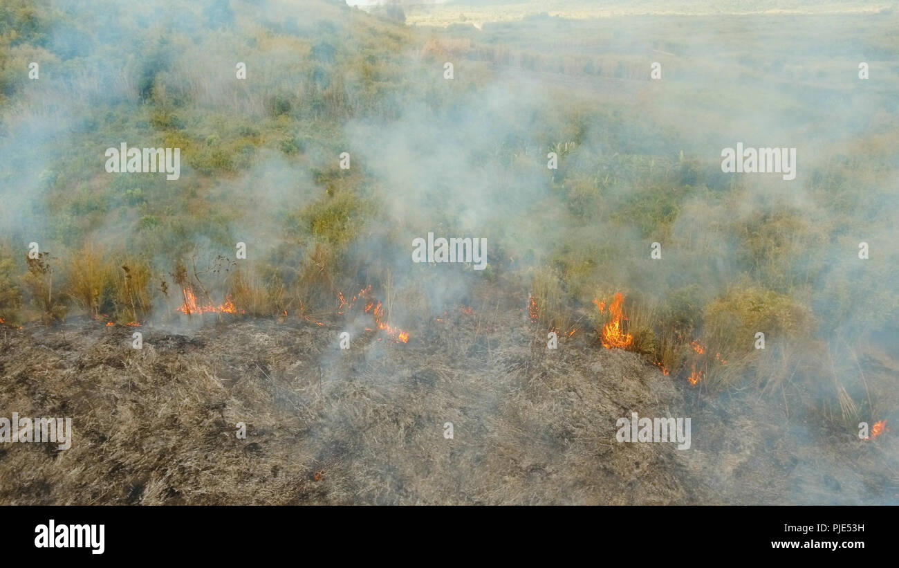 Aerial view forest fire on the slopes of hills and mountains. Forest ...