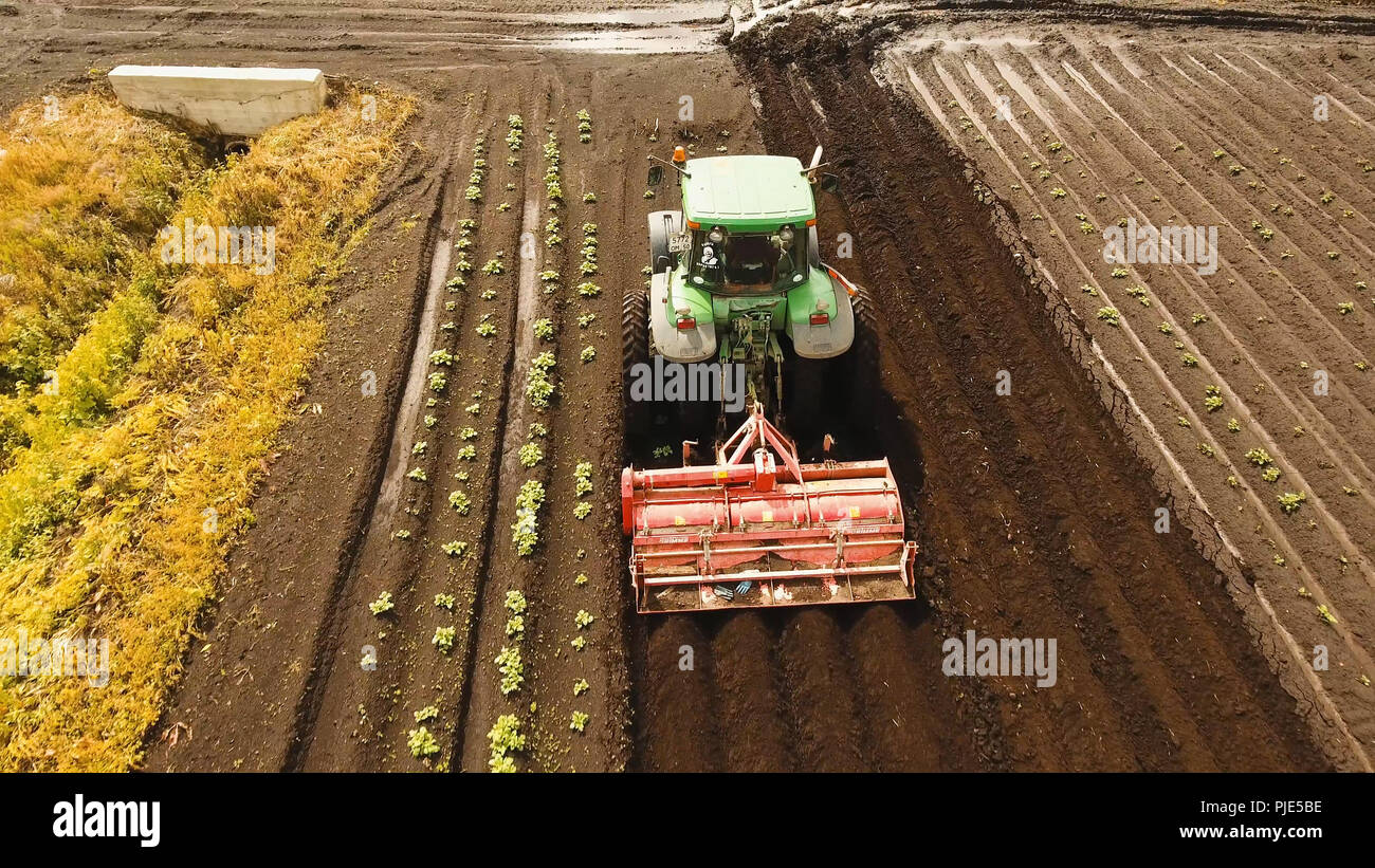 Aerial view Tractor Hilling Potatoes with disc hiller. Farmer in ...