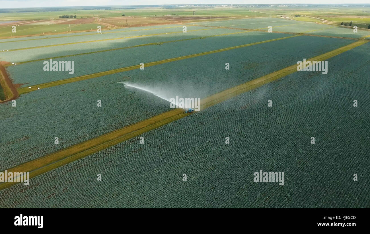 Aerial view: Irrigation equipment watering cabbage field. Irrigation ...
