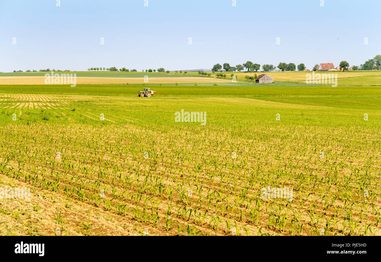 rural agricultural scenery with crop field at spring time in Hohenlohe, a district in Southern ...