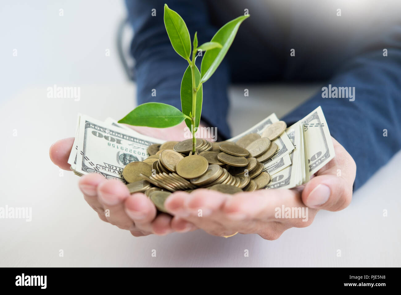 Business man hand make palm up with growing up money coins and sprout ...