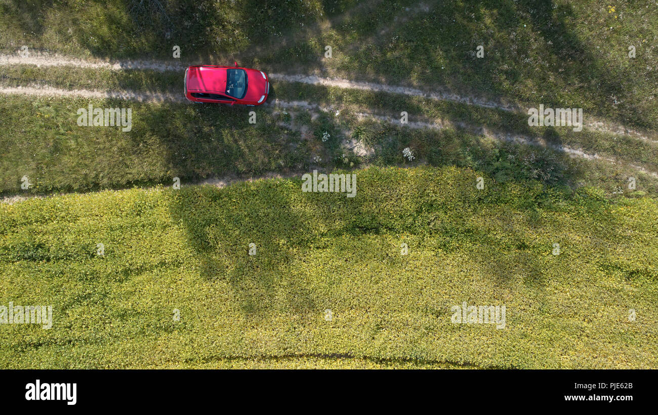 Car drives on the road between two big fields with green wheat ...