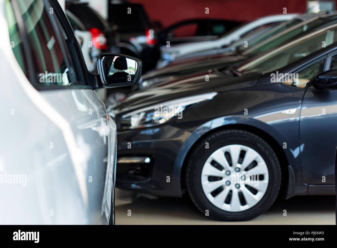 Interior of car dealer showroom with new cars Stock Photo - Alamy