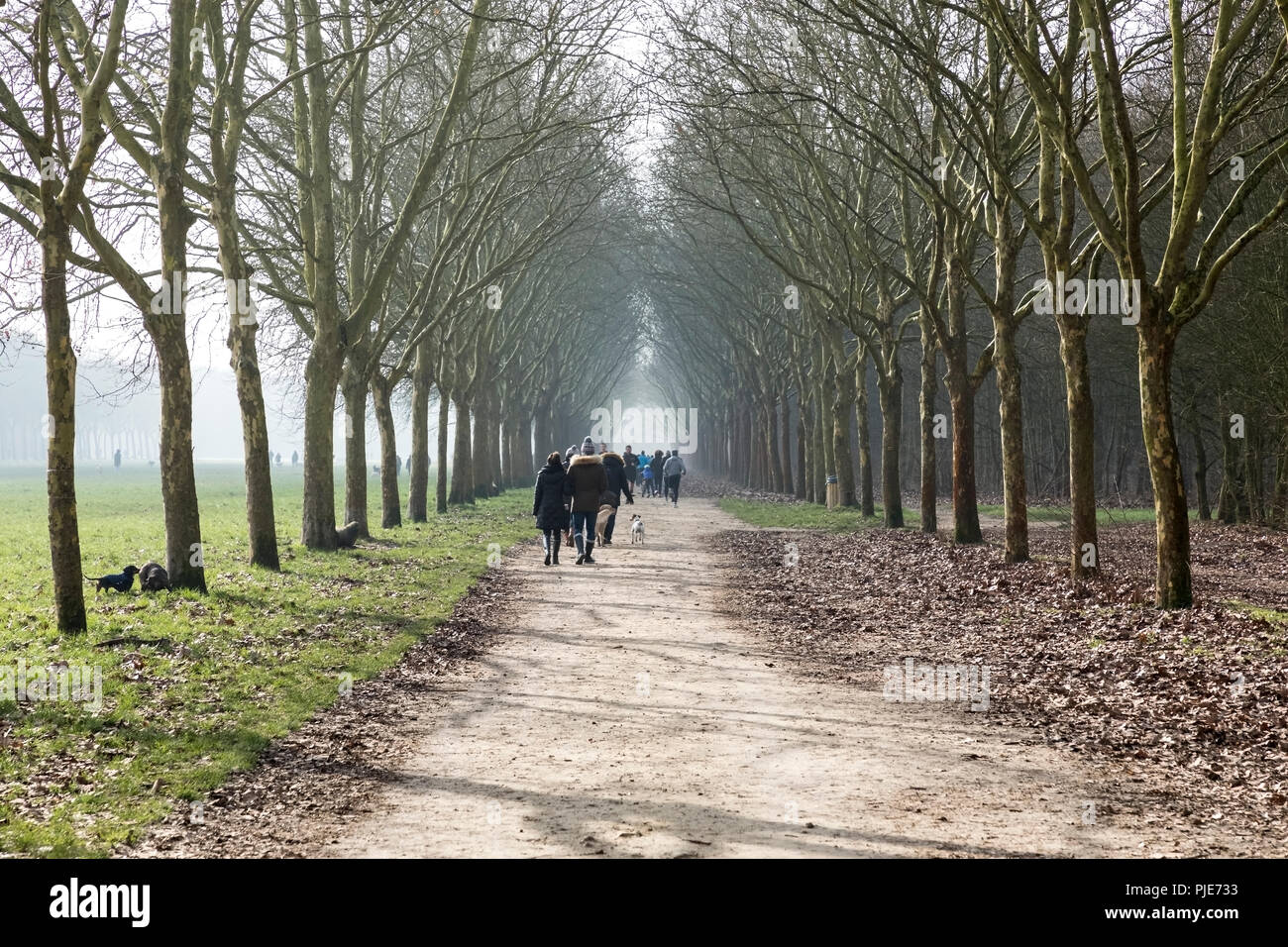 Public park people walking hi-res stock photography and images - Alamy