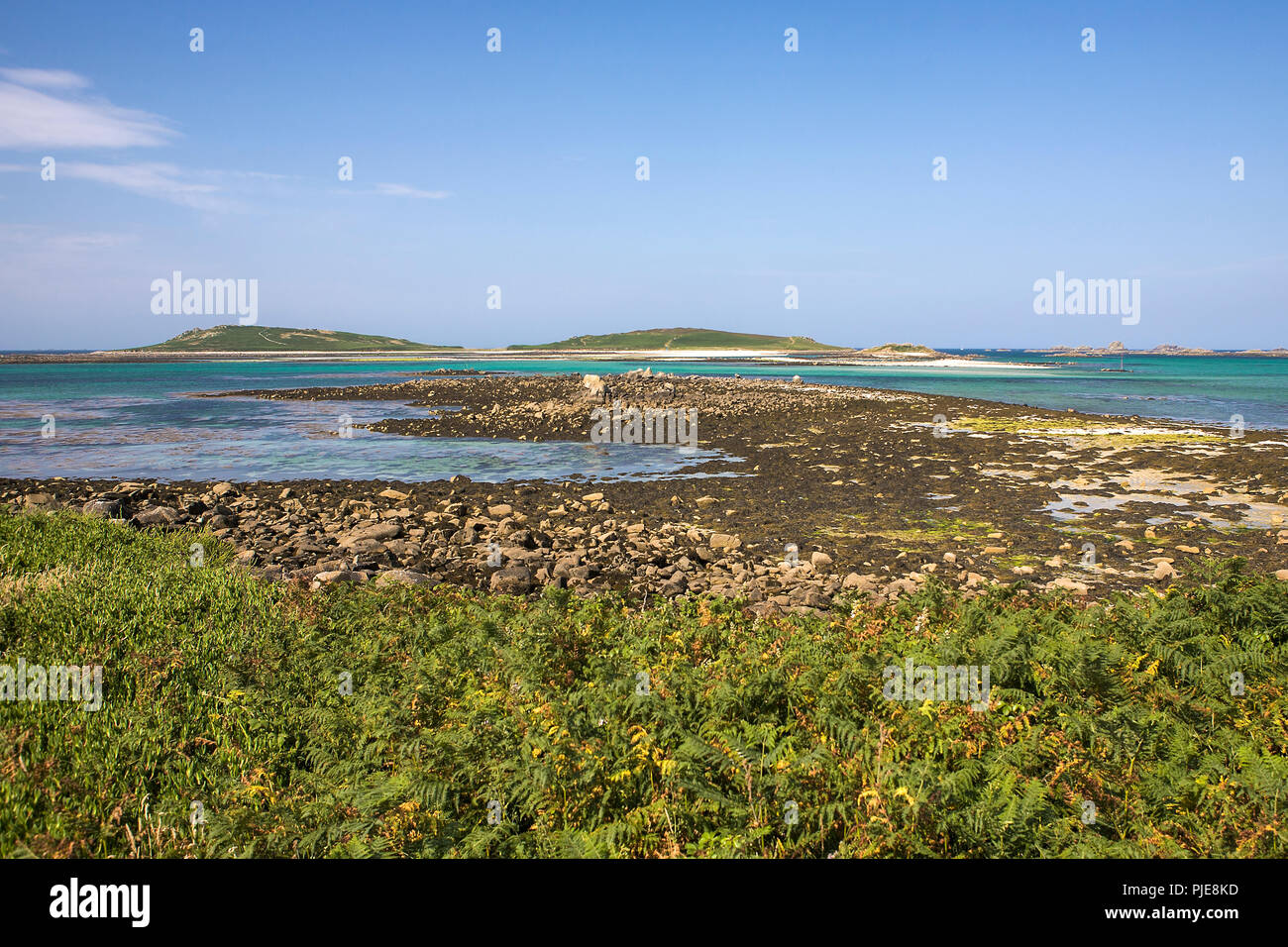 A view of Samson from Tresco, Isles of Scilly, UK Stock Photo - Alamy