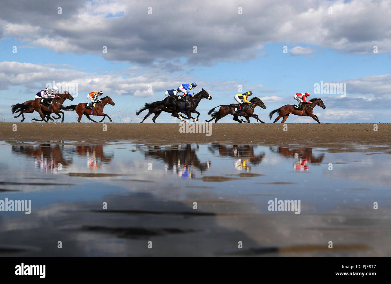 Runners and riders during the Scotch Hall Shopping Centre Claiming Race ...
