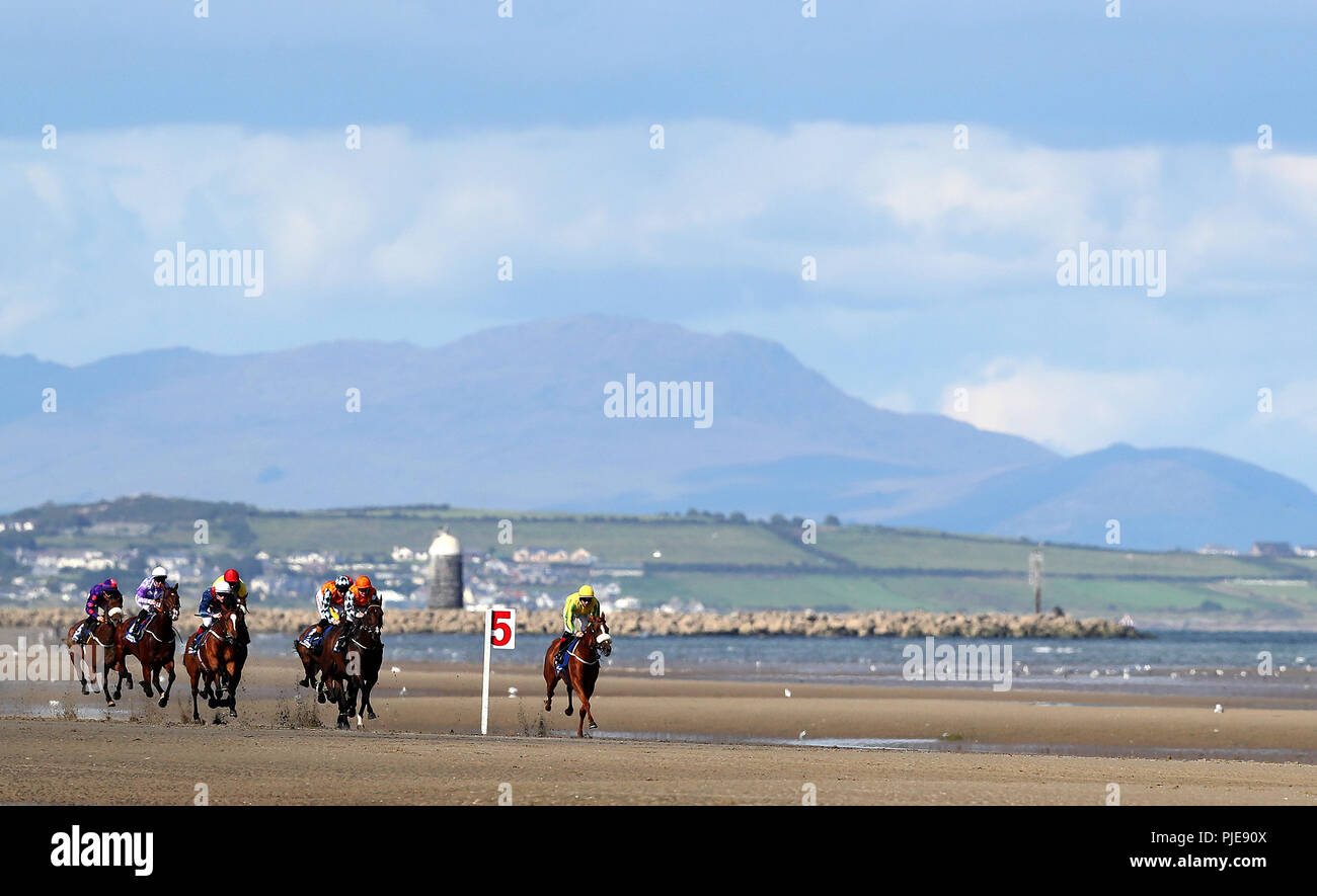 Runners and riders during the Gilna's Cottage Inn Maiden at Laytown ...