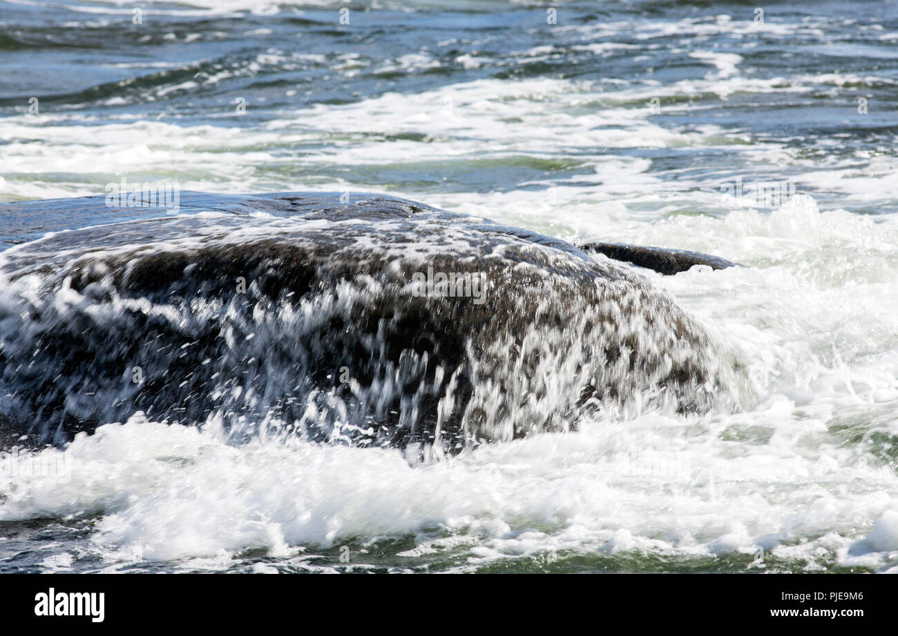 Powerful gale wind along the coastal area. Waves, breakers hit the ...