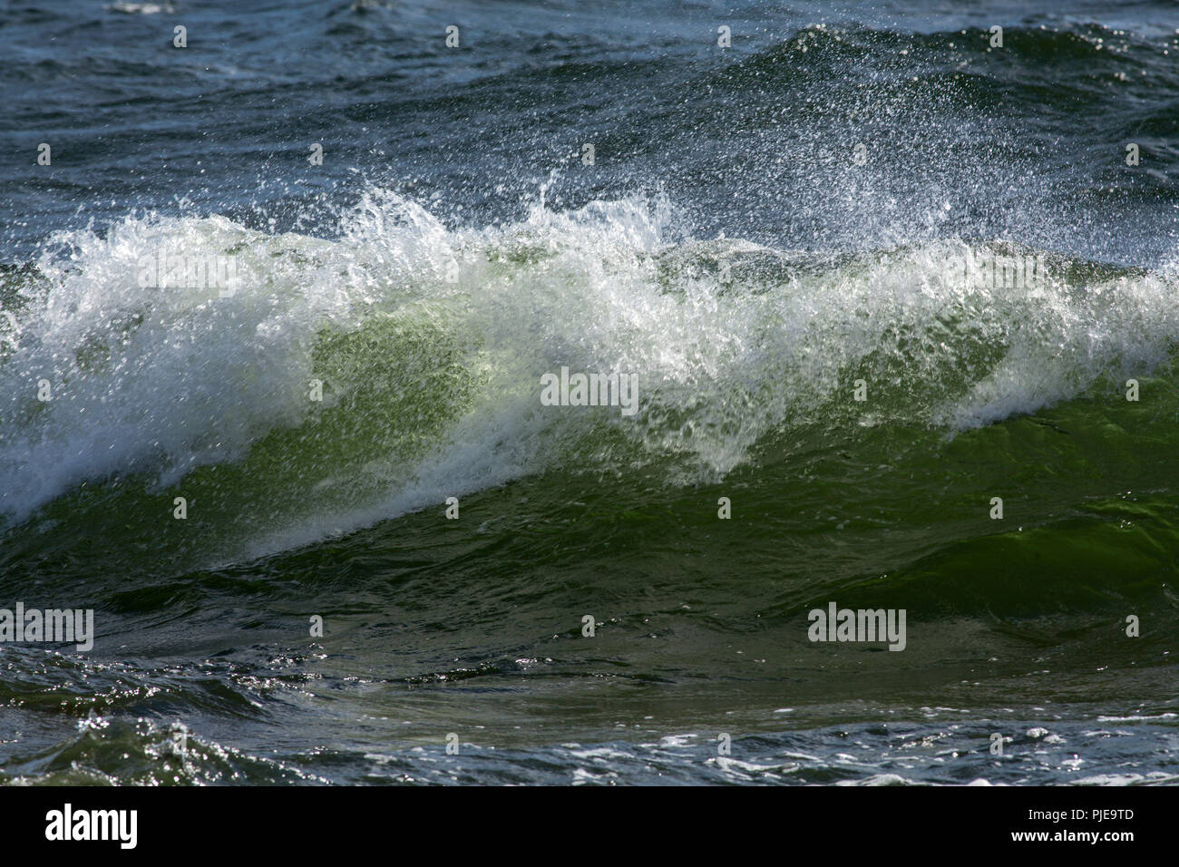 Powerful gale wind along the coastal area. Waves, breakers hit the ...