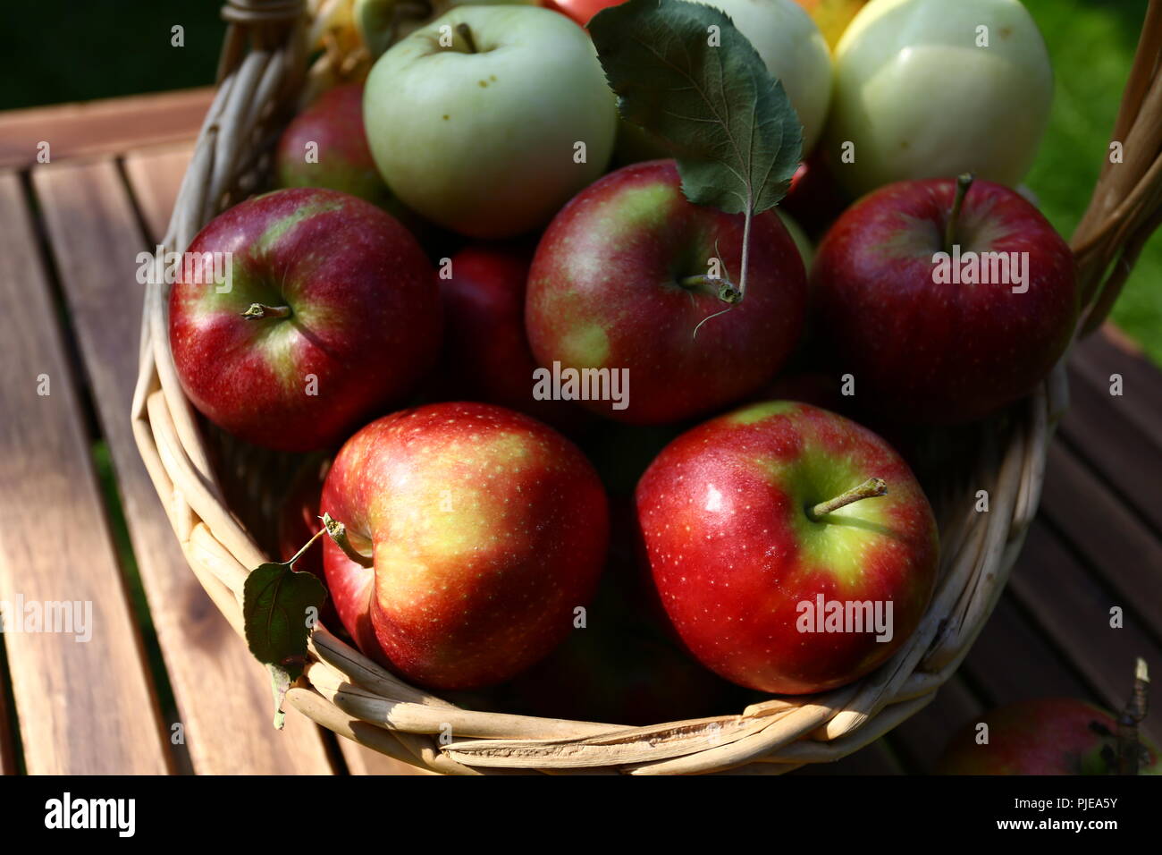 Harevst hi-res stock photography and images - Alamy