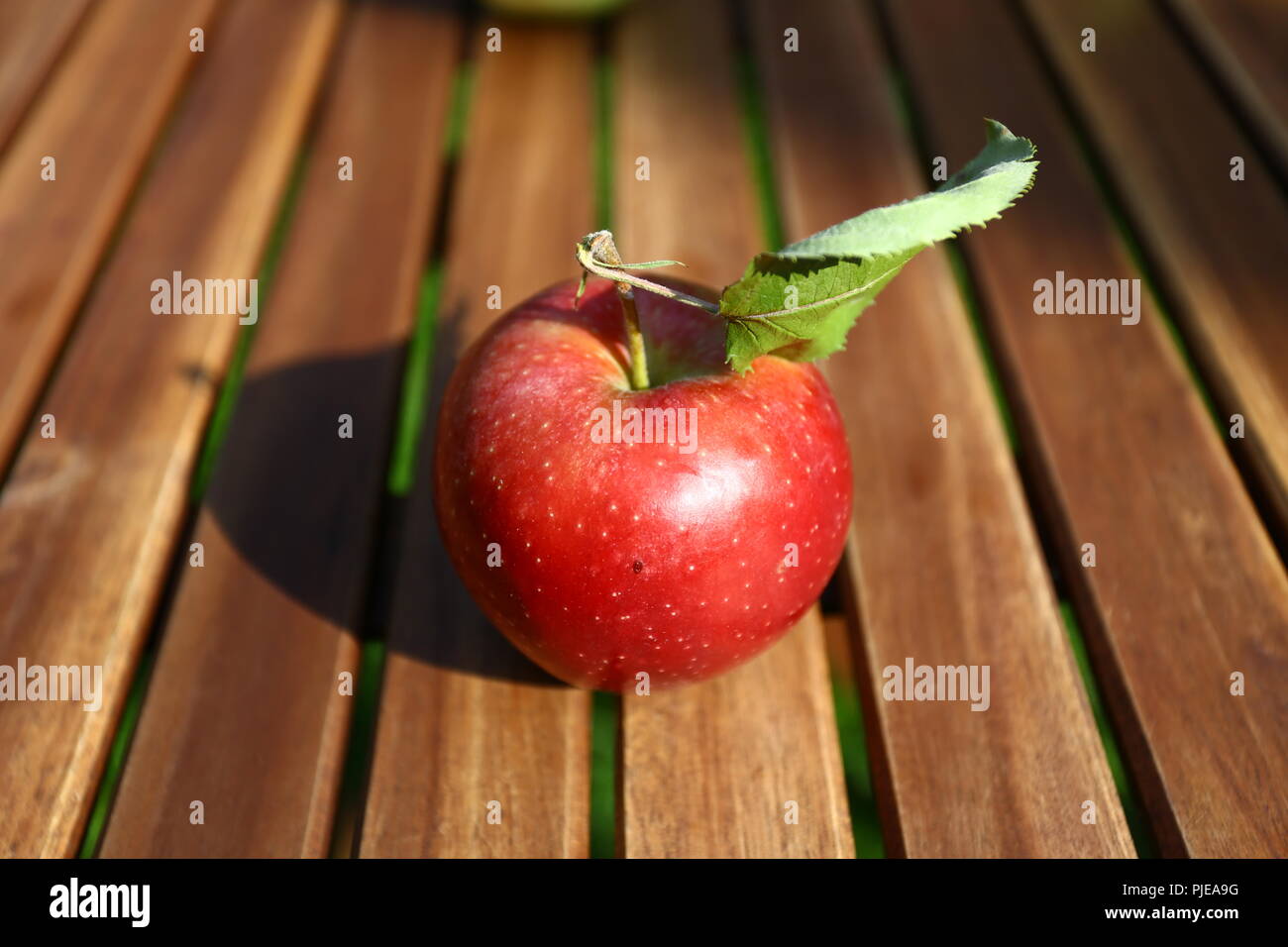 Harevst hi-res stock photography and images - Alamy