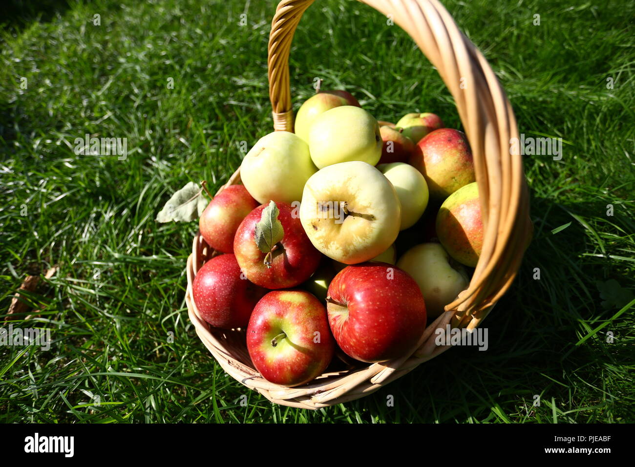 Harevst hi-res stock photography and images - Alamy