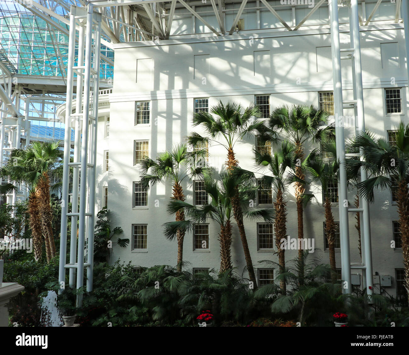 Botanical garden inside plants hi-res stock photography and images - Alamy