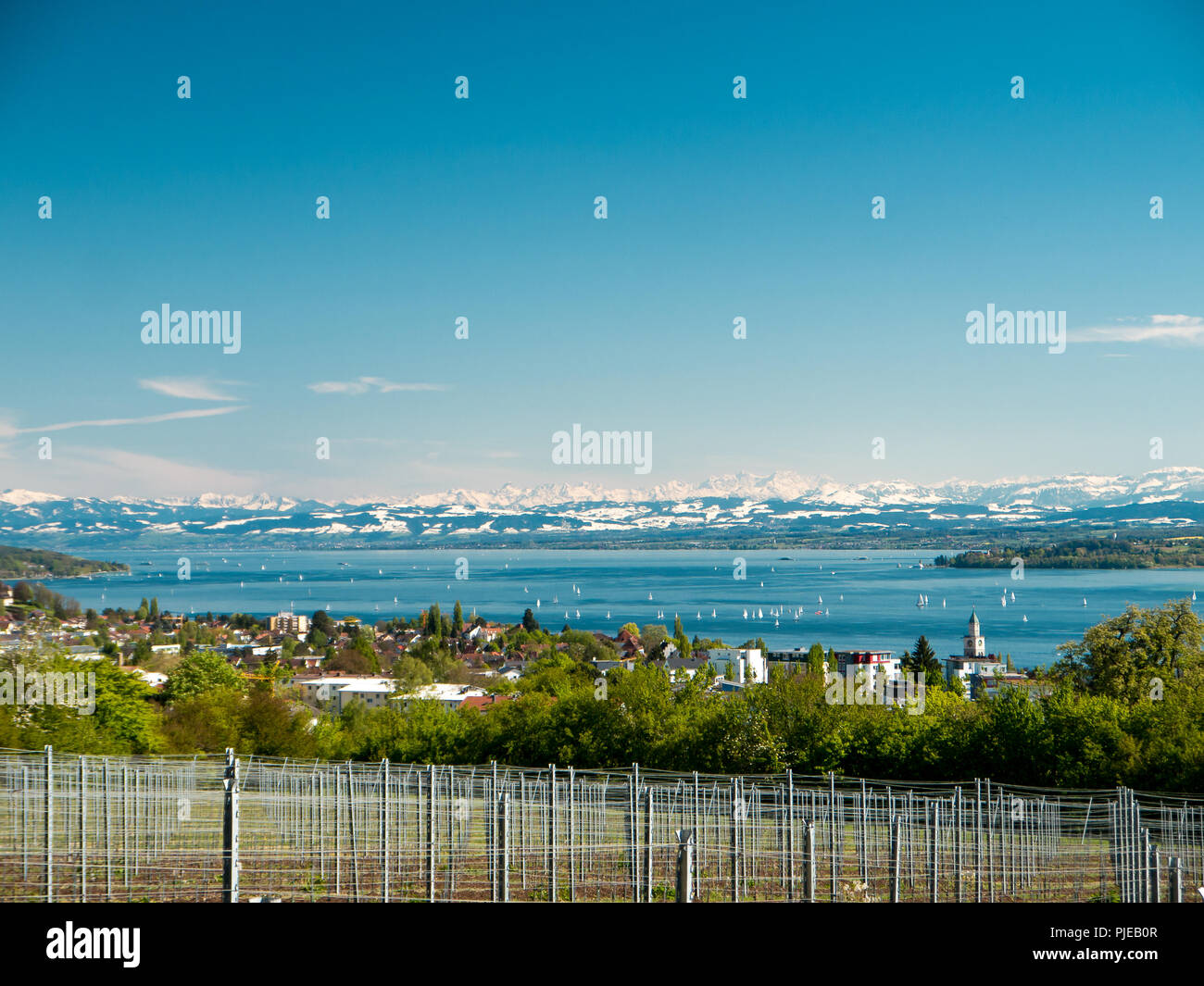 Constance In Lake Of Constance High Resolution Stock Photography and ...