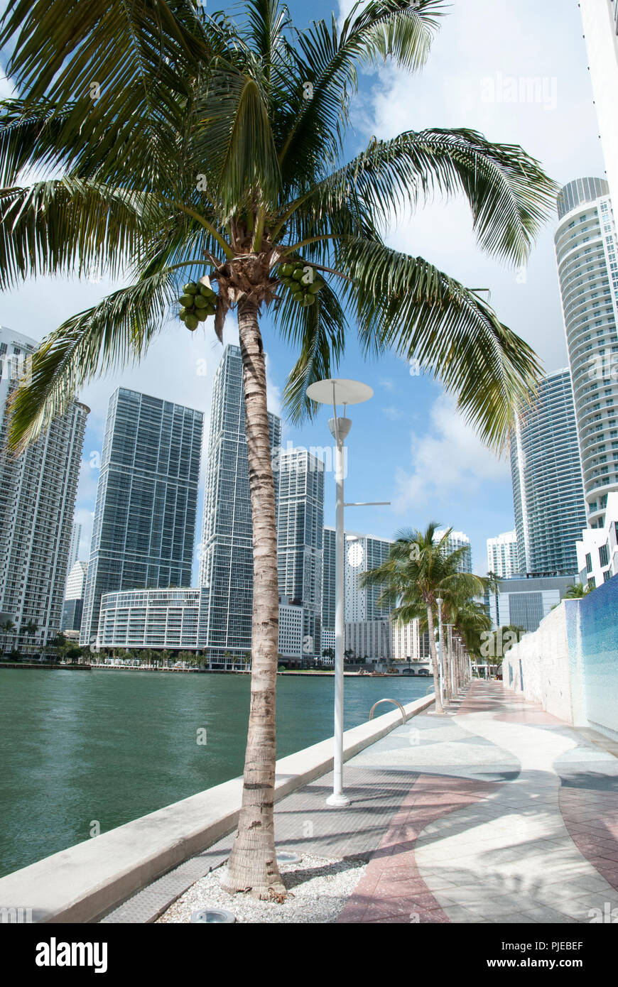 The waterfront of Miami River Walk in Miami downtown (Florida Stock ...