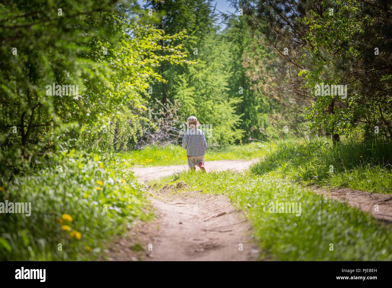 Little caucasian boy playing in spring forest. Boy walking through ...