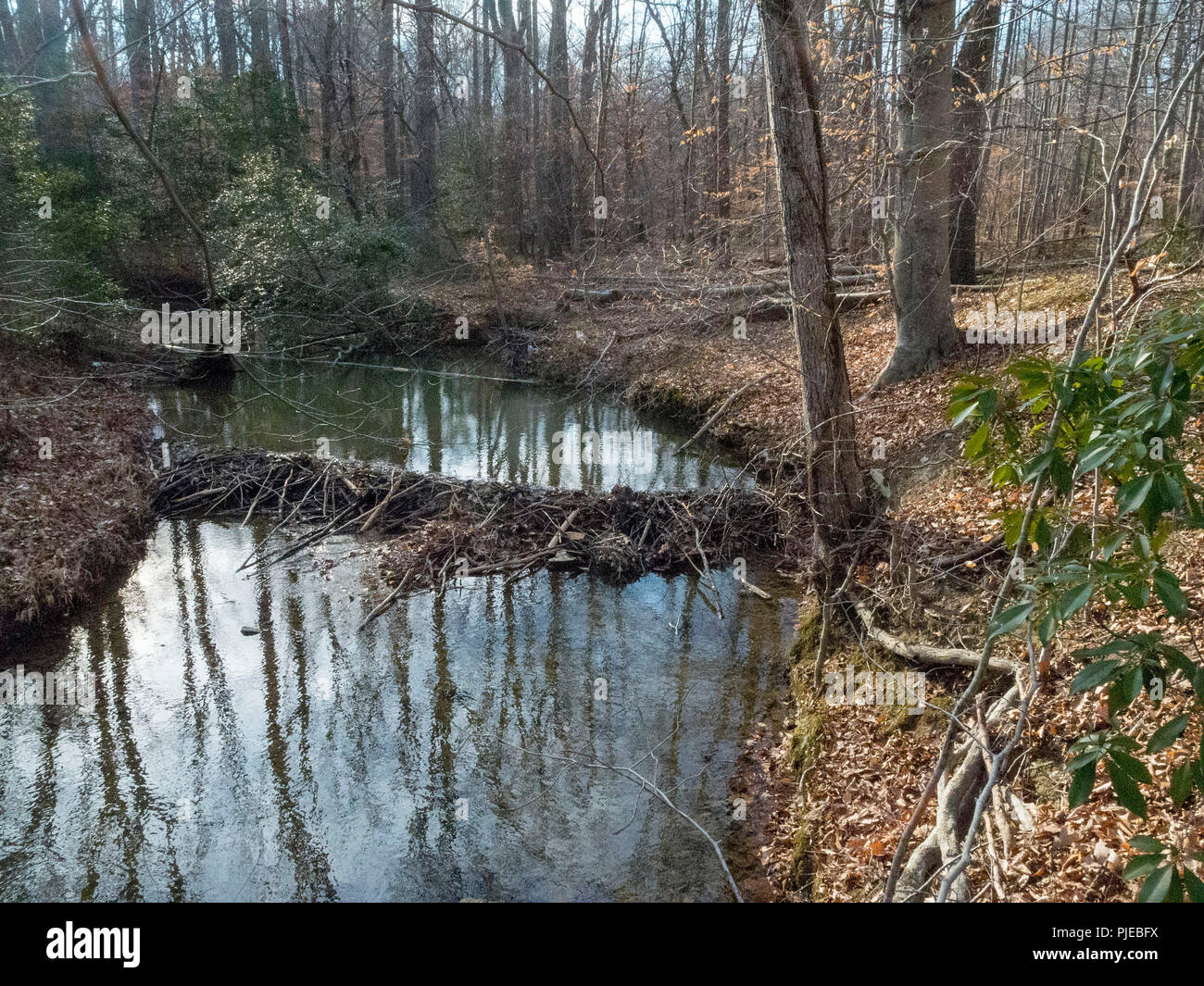 Fairfax virginia hi-res stock photography and images - Alamy