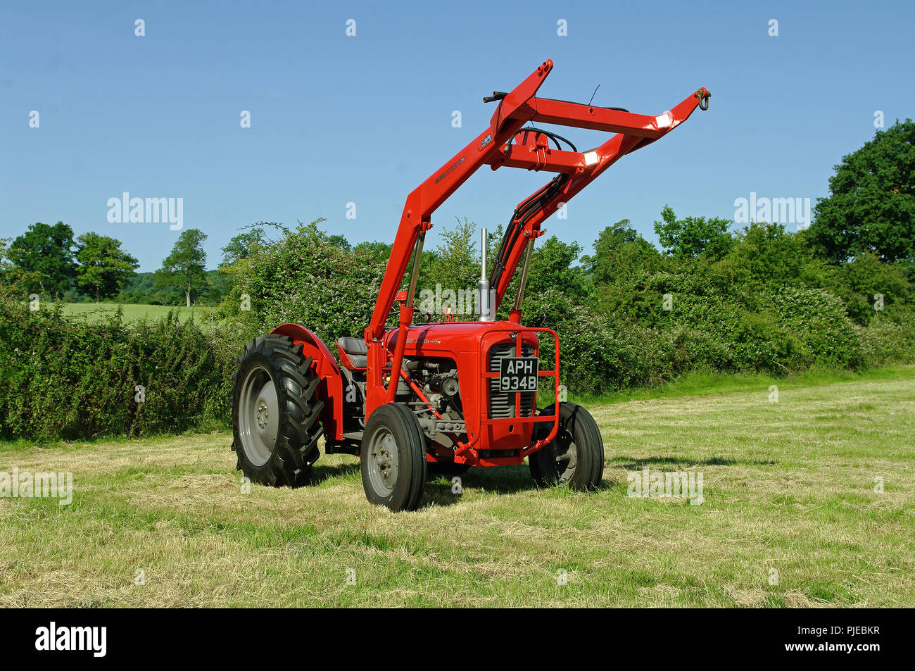 Massey Ferguson MF35X tractor Stock Photo - Alamy