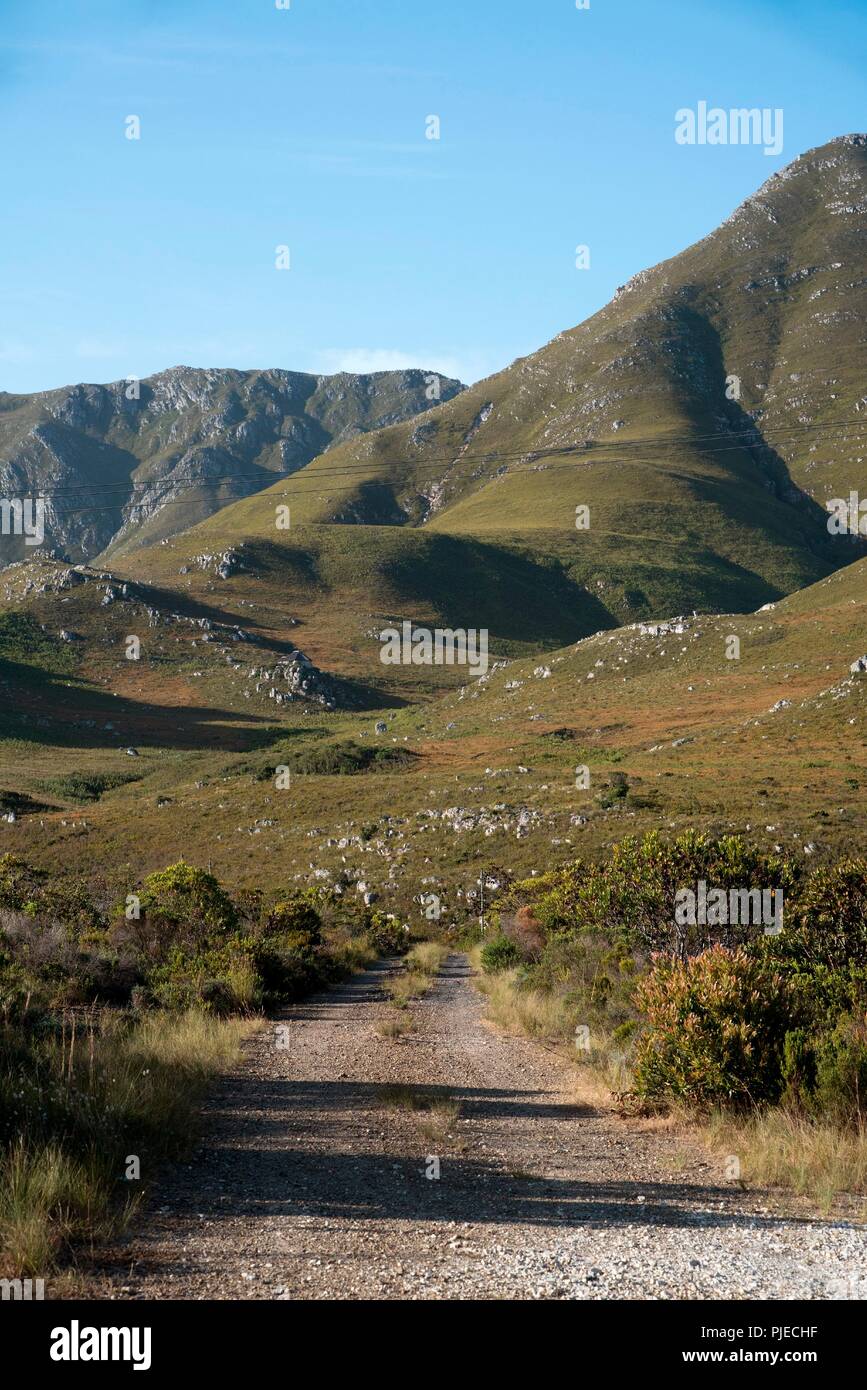 Western Cape South Africa. The Kogelberg nature reserve near Kleinmond ...