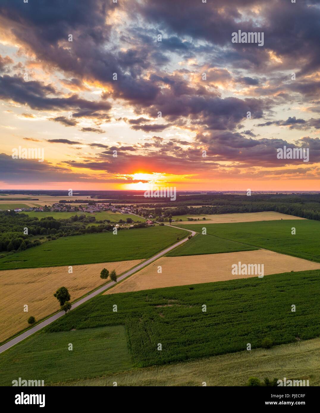 Aerial landscape with beautiful summer fields. Summer drone field ...