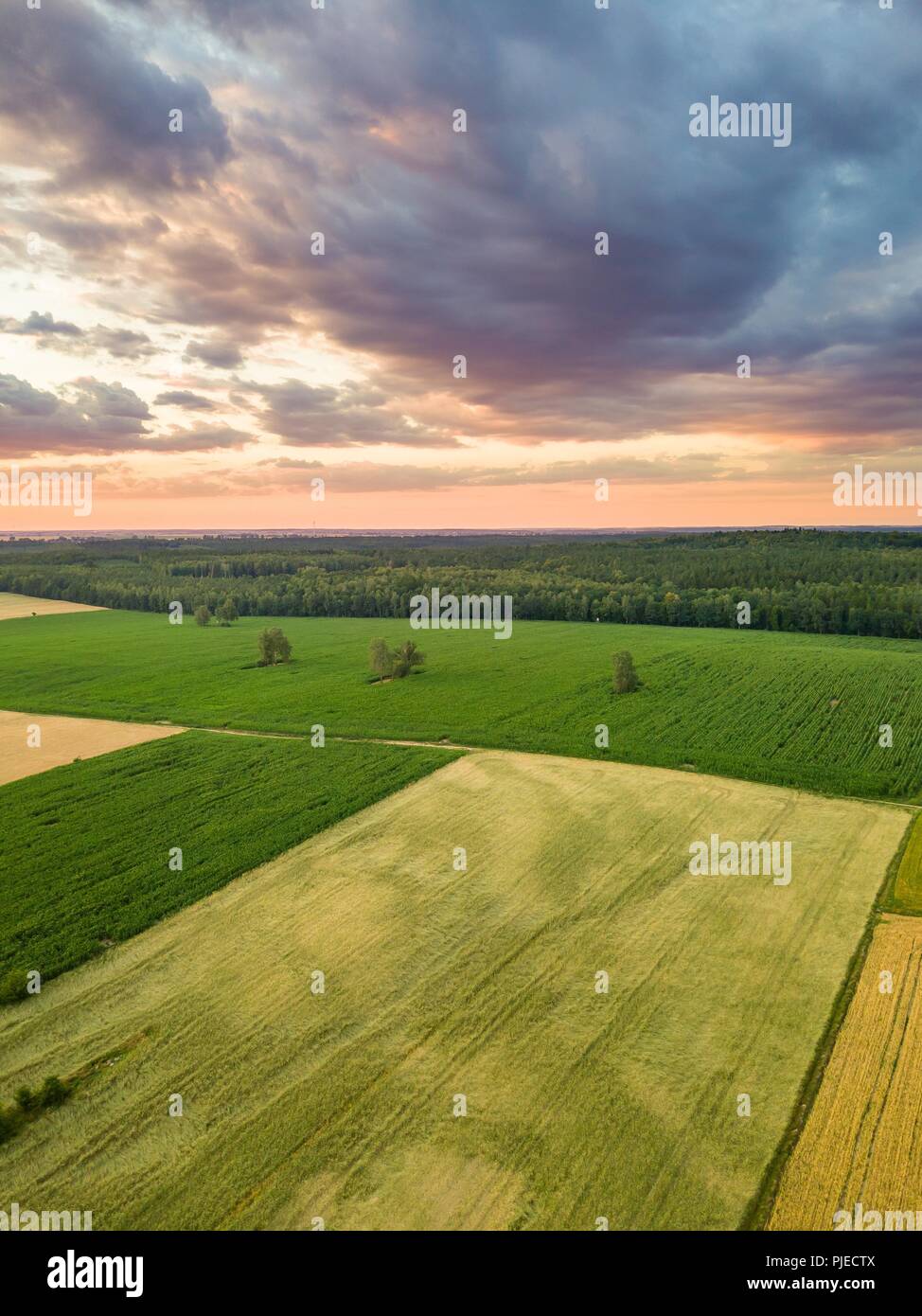 Aerial landscape with beautiful summer fields. Summer drone field ...